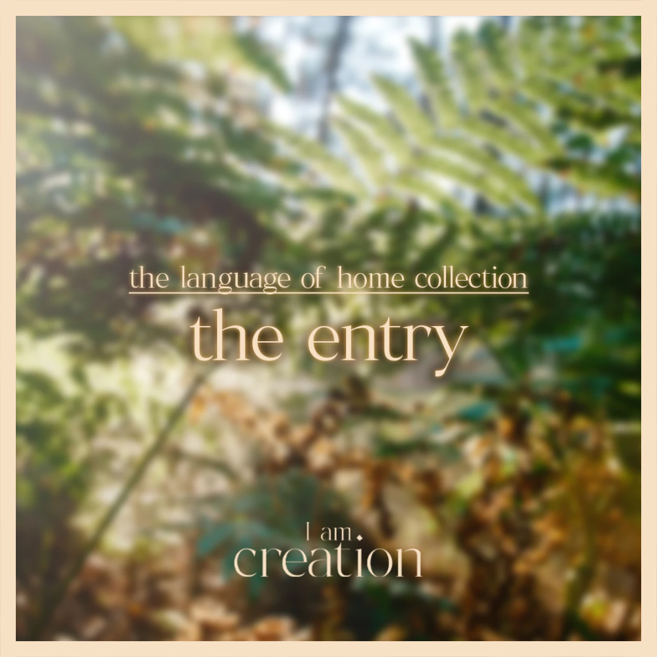 Home - I am Creation®